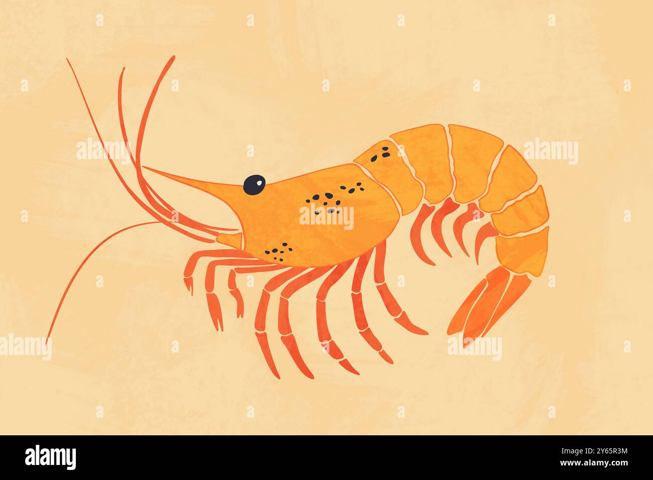Use vector hi-res stock photography and images - Alamy
