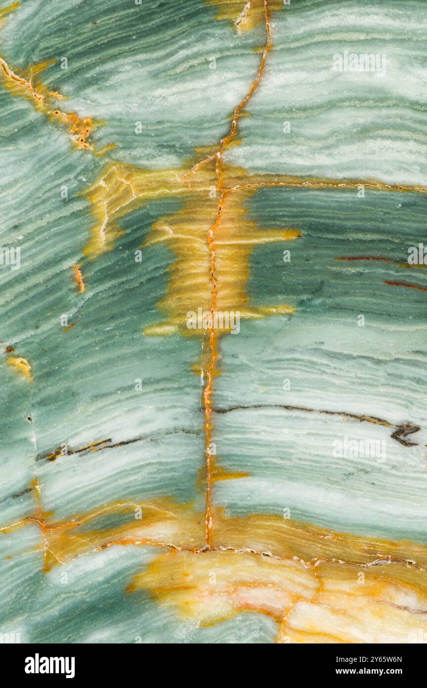 Petrified swamp wood from a location near McDermitt, Oregon, on the ...