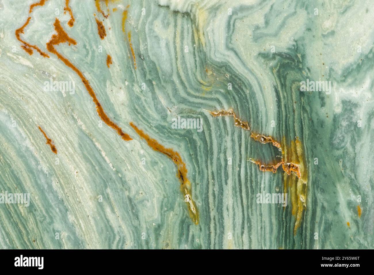 Petrified swamp wood from a location near McDermitt, Oregon, on the ...
