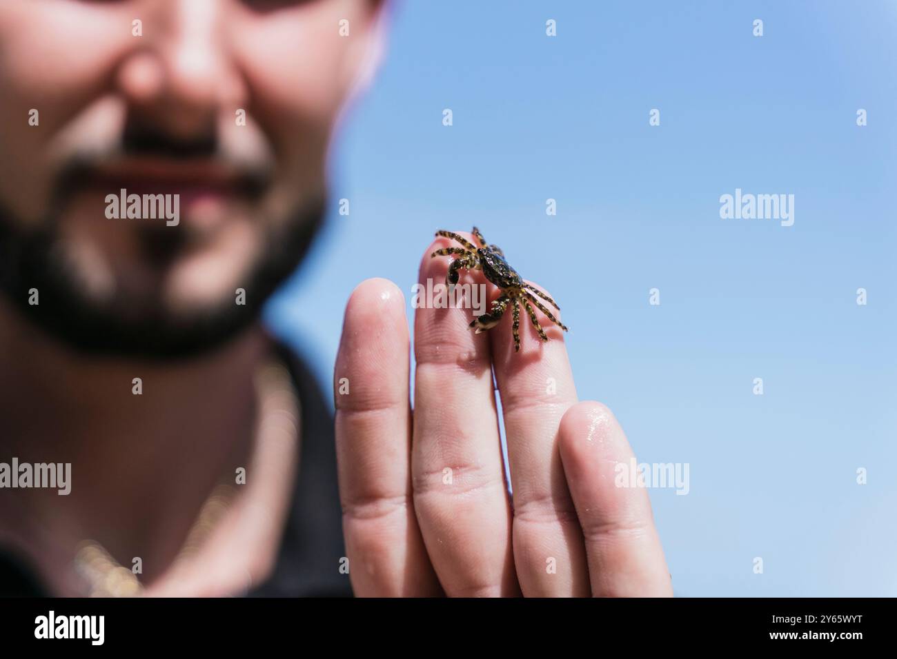A close-up image showcasing a man with a beard, presenting a small ...