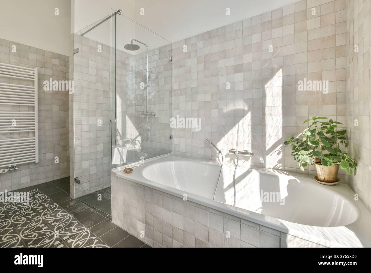 Sunlit modern bathroom with a freestanding tub, glass shower, and houseplant Stock Photo - Alamy