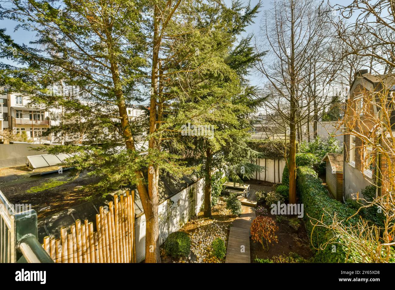 A peaceful suburban backyard garden bathed in sunlight, featuring ...
