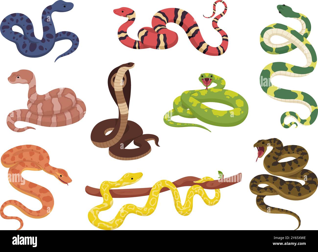 Copperhead snakes Stock Vector Images - Alamy