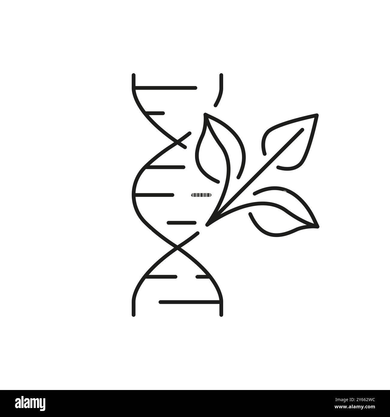 Genetic Mutation Plant Cut Out Stock Images And Pictures Alamy