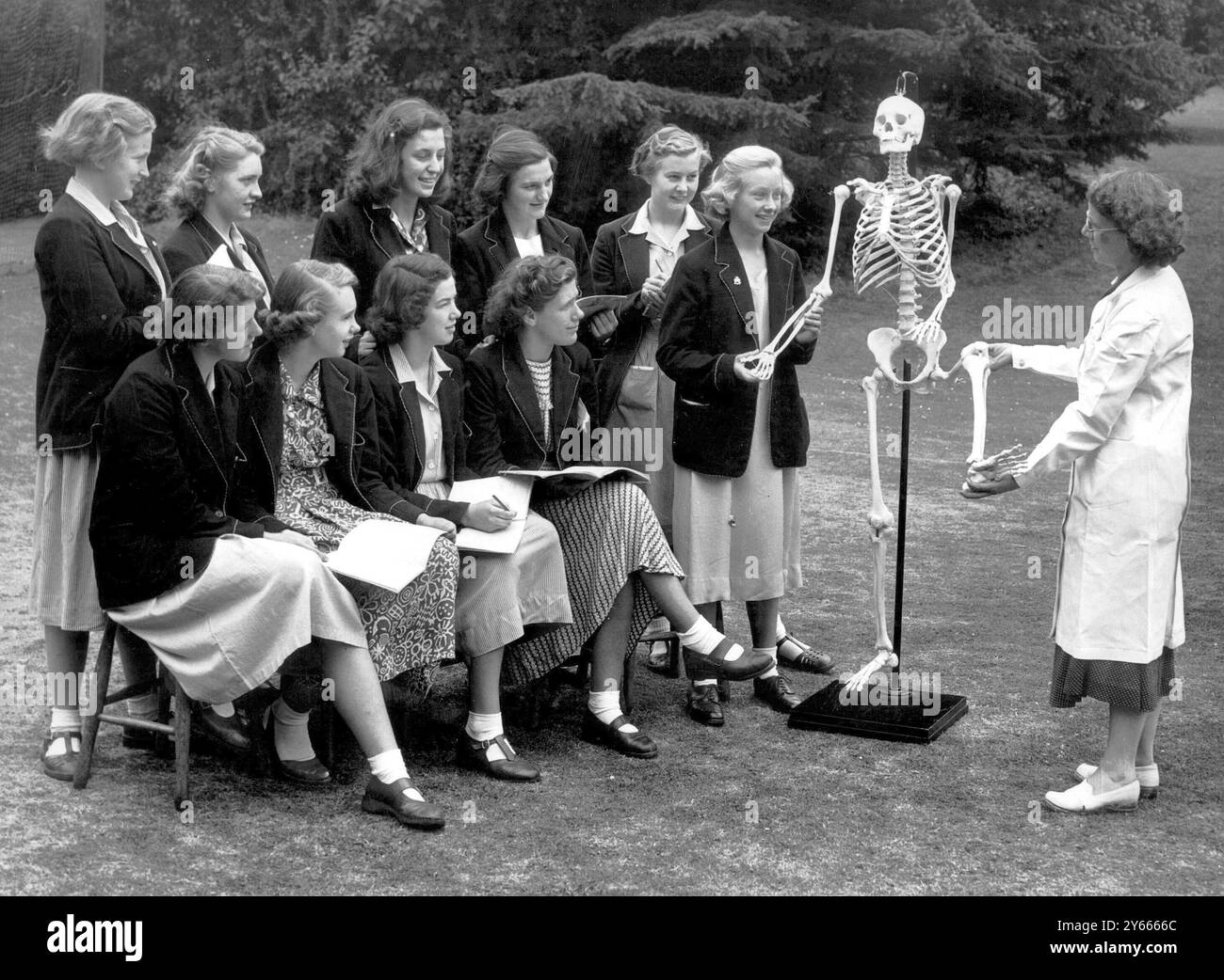 HEALTH MISC. ANATOMICAL MODELS GRAMMAR SCHOOL EDUCATION Stock Photo - Alamy