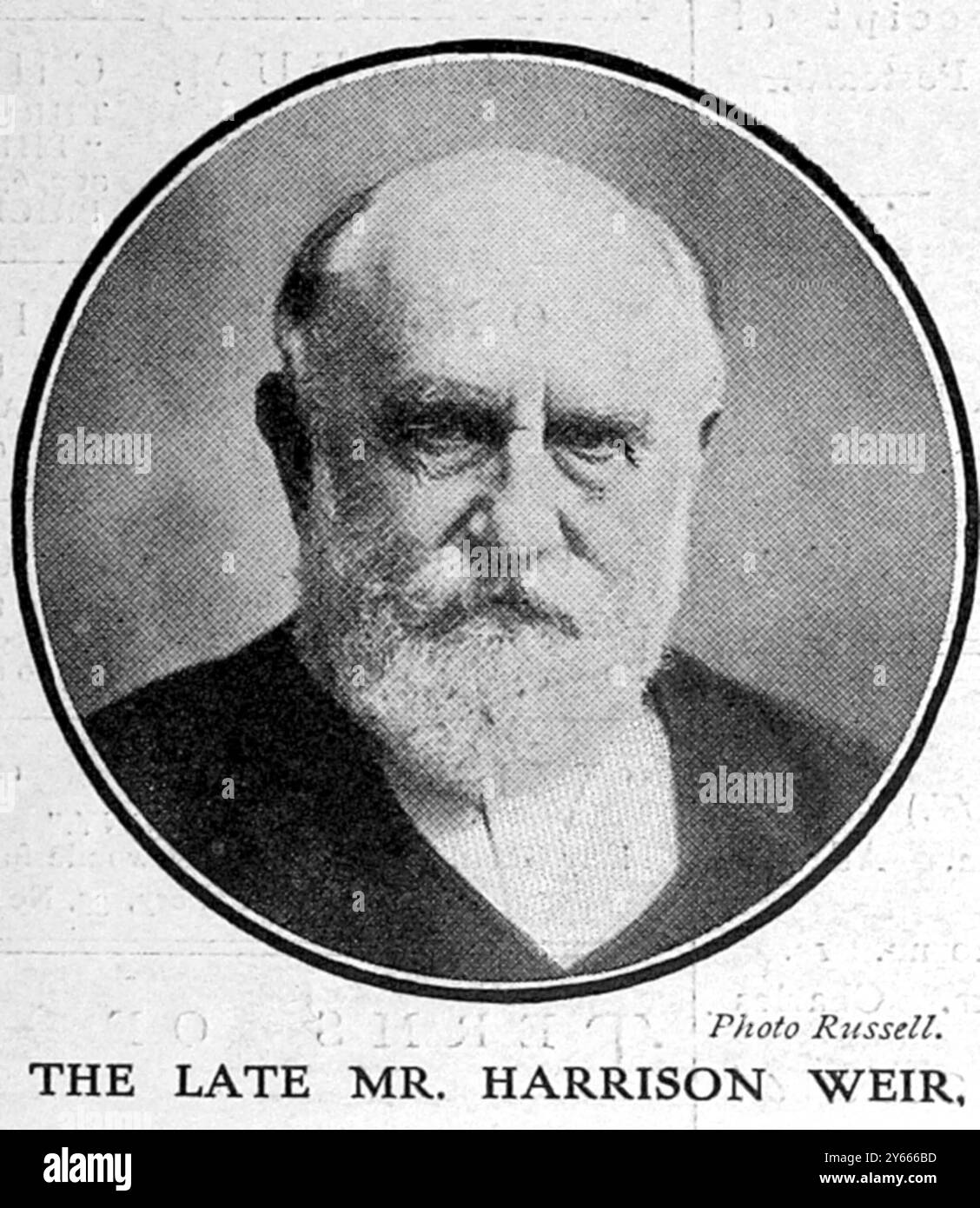 Mr harrison hi-res stock photography and images - Alamy