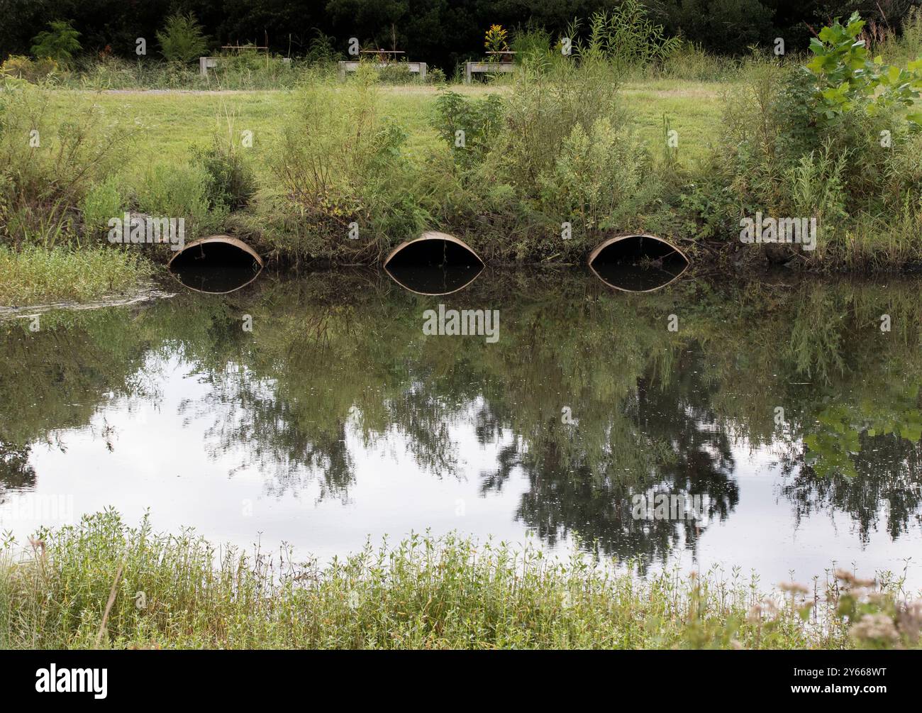 Waterflow pipes in Jack Smith Creek Wetlands in New Bern ,Northcarolina ...