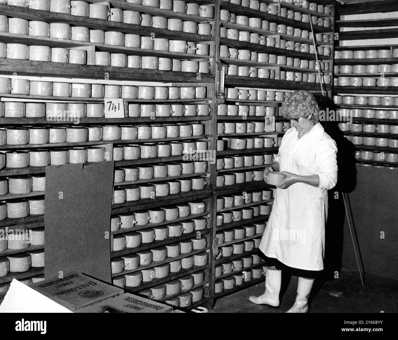 An interior of the Scottish Milk Marketing Board's Torryling Dairy at ...