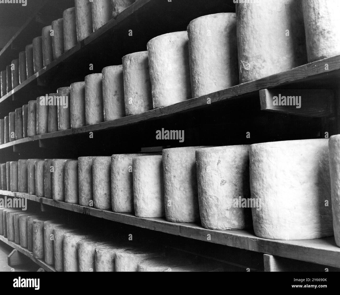 Colston Bassett and District Dairies Ltd Cheese making - Stilton cheese ...
