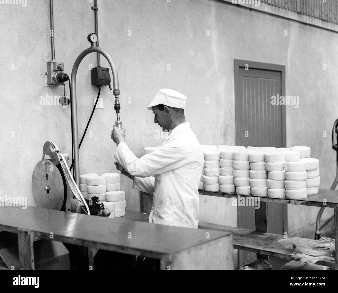 Orkney's new cheese factoryTo cope with Orkney's huge dairy output a new factory has been built ...