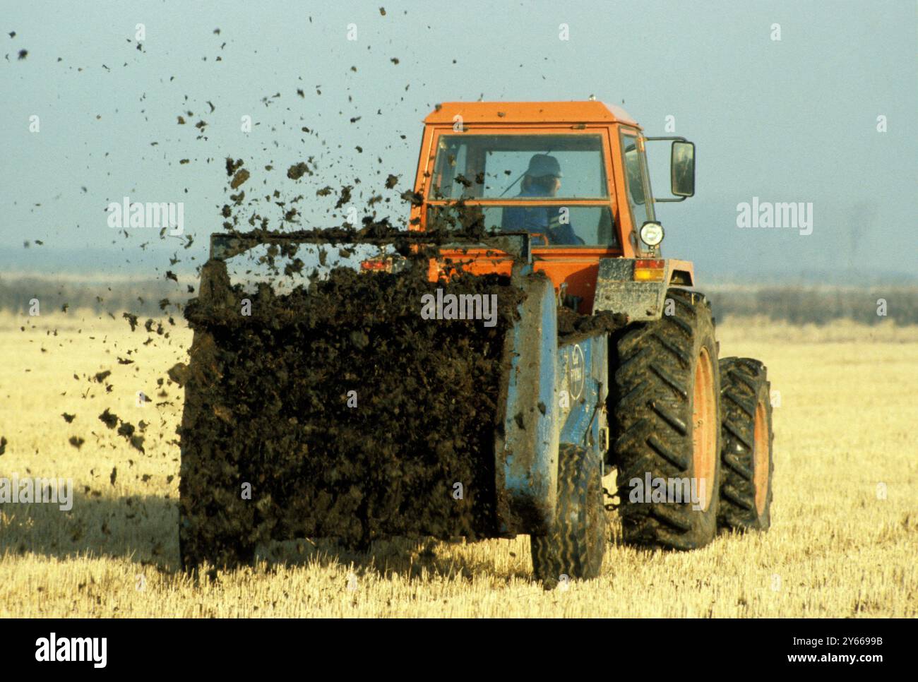 Winter : Spreading muck or manure on grain stubble using a Massey ...