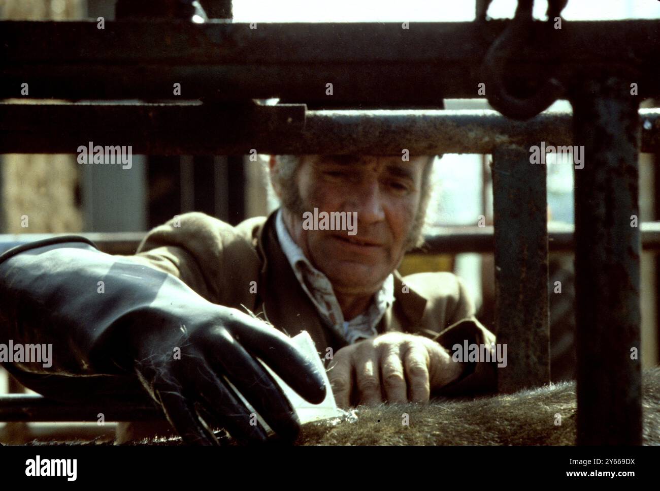 Organophosphorus hi-res stock photography and images - Alamy