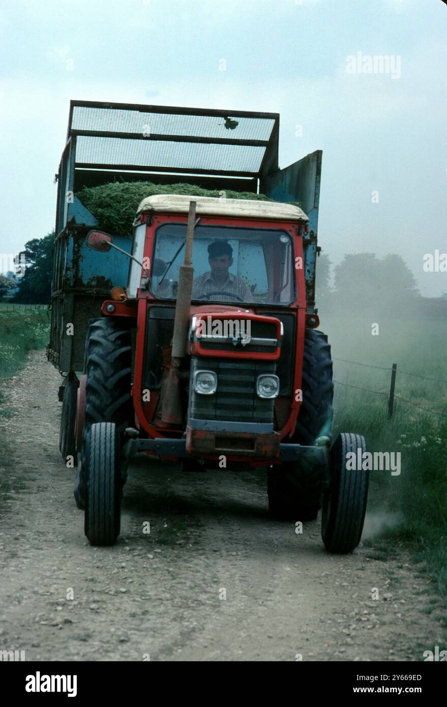 Early Summer : Silage making - hauling trailer of grass to the clamp ...
