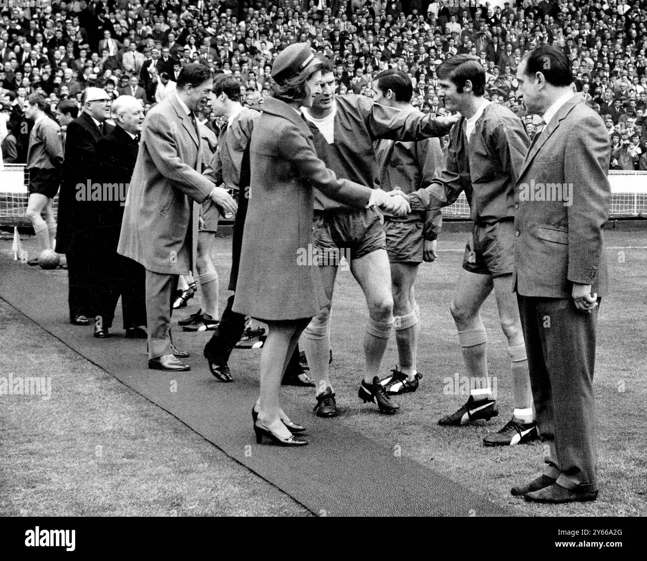 Labone hi-res stock photography and images - Alamy