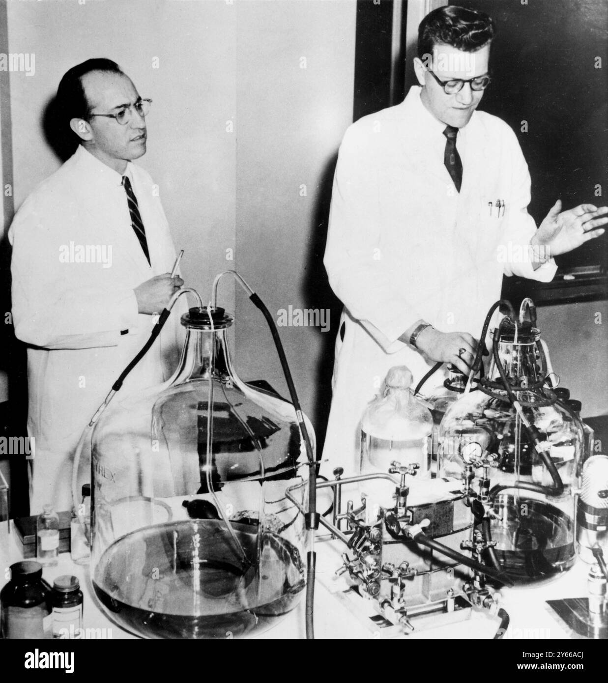 Dr Jonas Salk, developer of a polio serum (left) supervises one of his ...