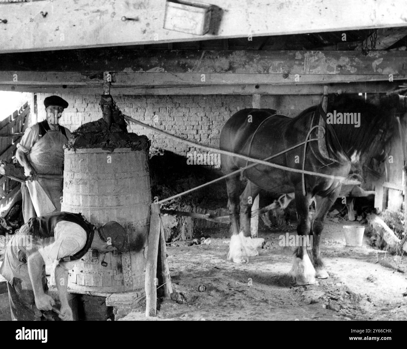Farmhand horses Black and White Stock Photos & Images - Alamy