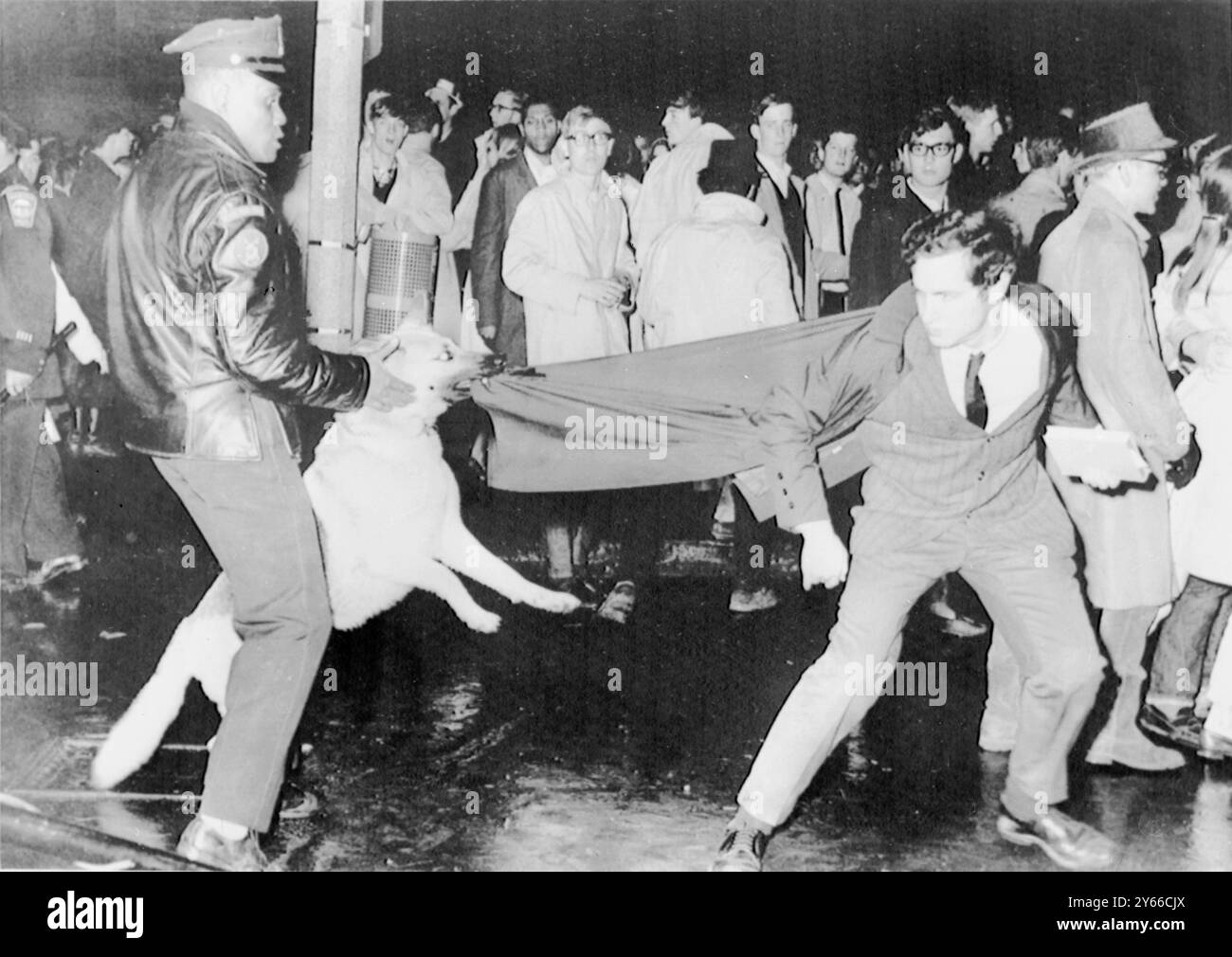 James Bond Riot A Boston Police dog tugs fiercely at the raincoat of an ...