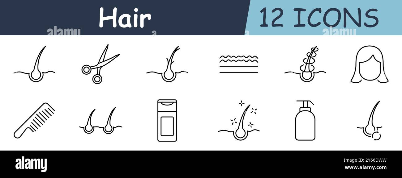 Hair set icon. Hair follicles, scalp, pH balance, hair treatment ...