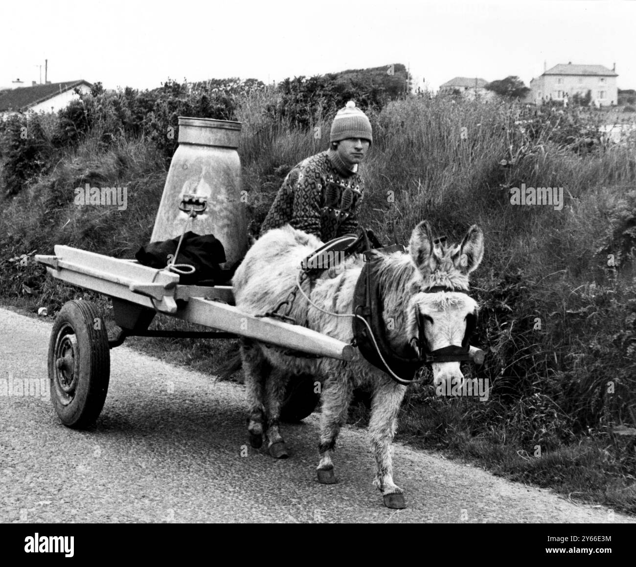 No Change Here ... except for the wheels. Donkey and trap, with wheels ...