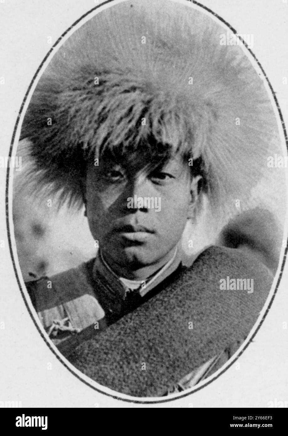 Manchurias hi-res stock photography and images - Alamy