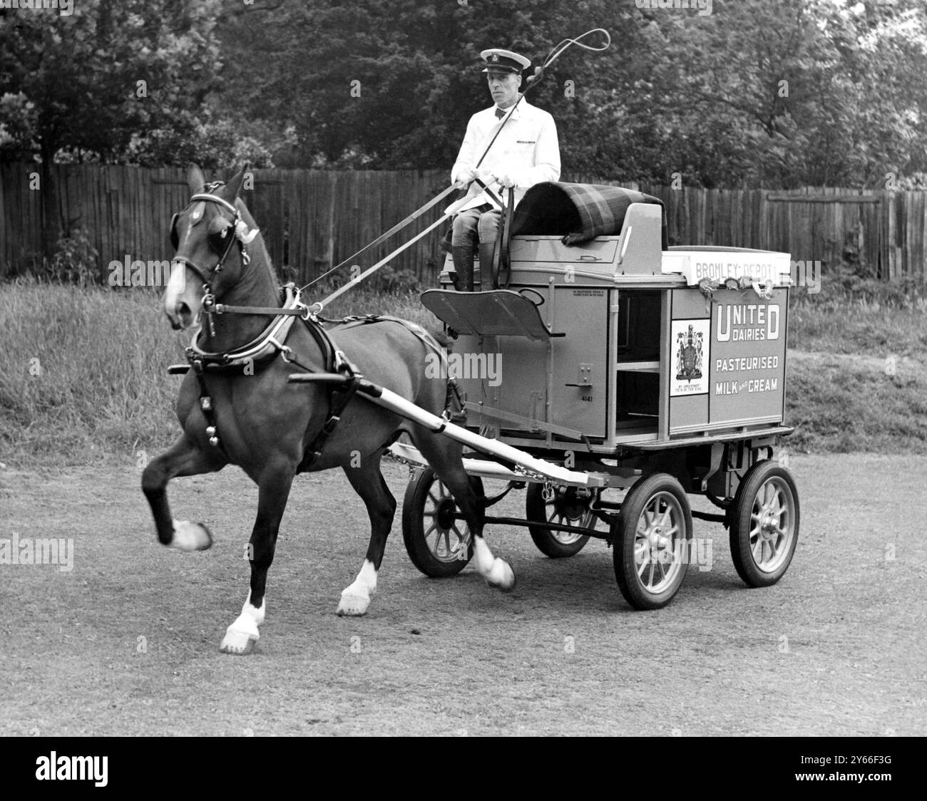 Immaculate display of a milkman and his horse at an agricultural show ...