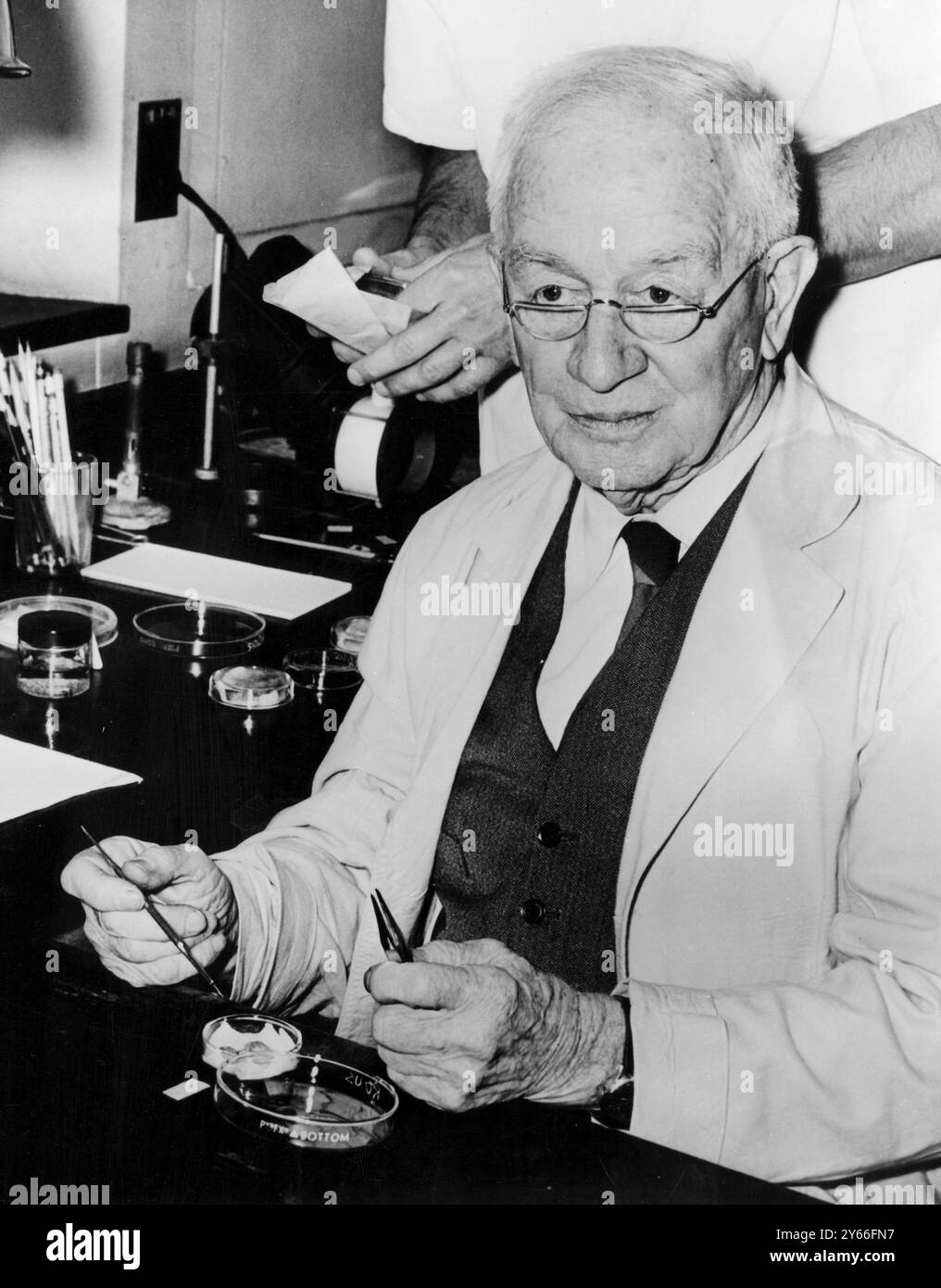 Dr Francis Peyton Rous, 87, works in his Laboratory at Rockefeller ...