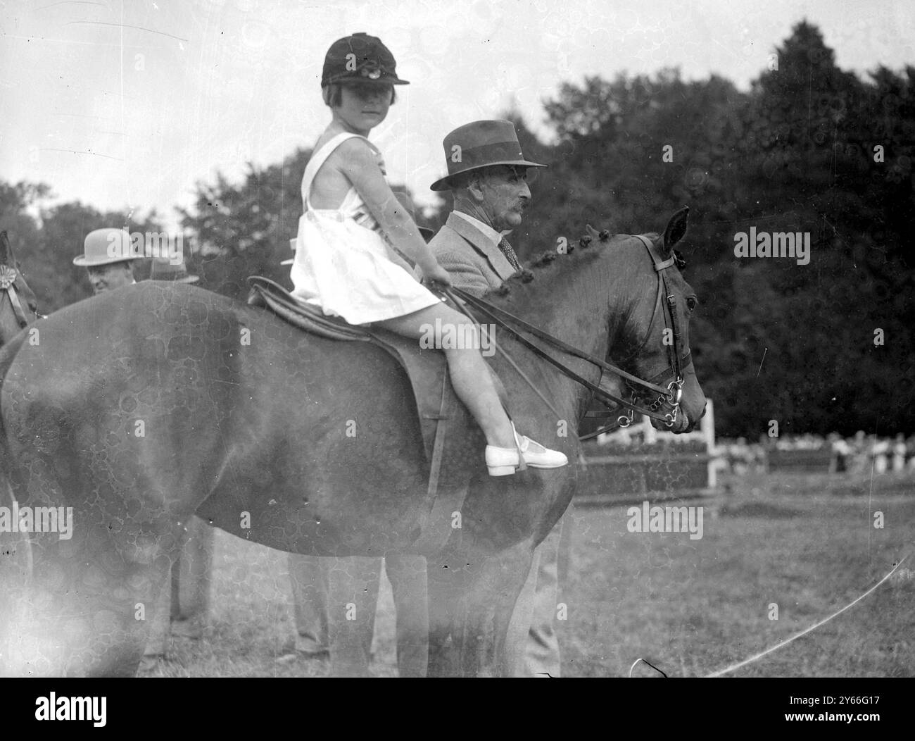 I am me horse hi-res stock photography and images - Alamy