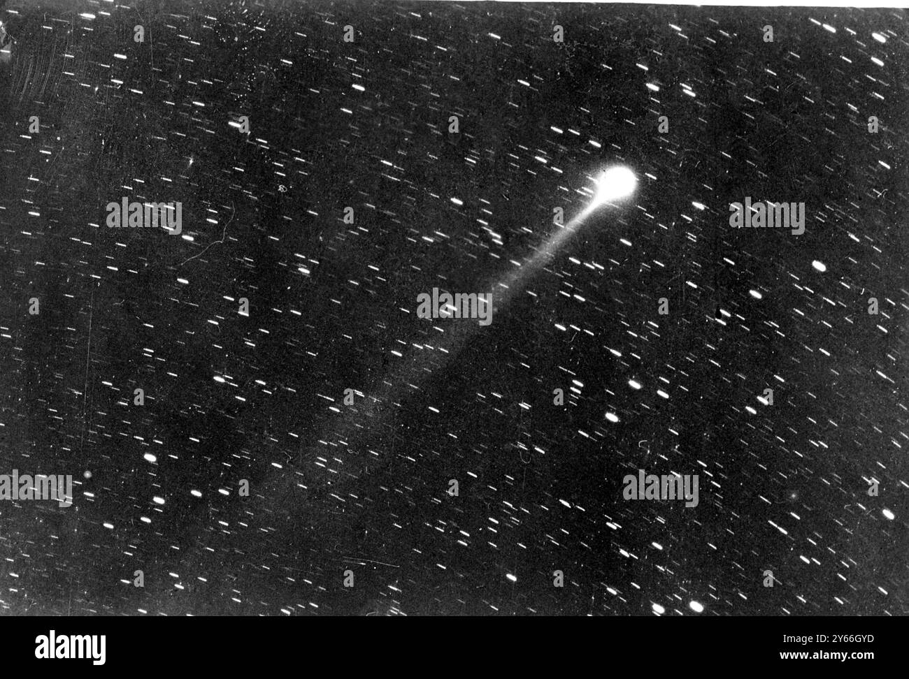 Tail flashing Black and White Stock Photos & Images - Alamy