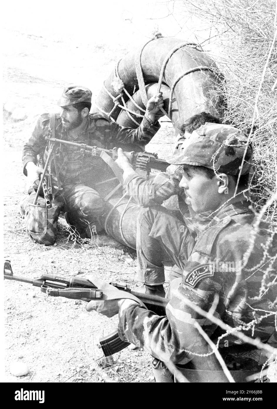 The Emerging Arab Commando. The Fedayeen (Arab Commando) a major force ...