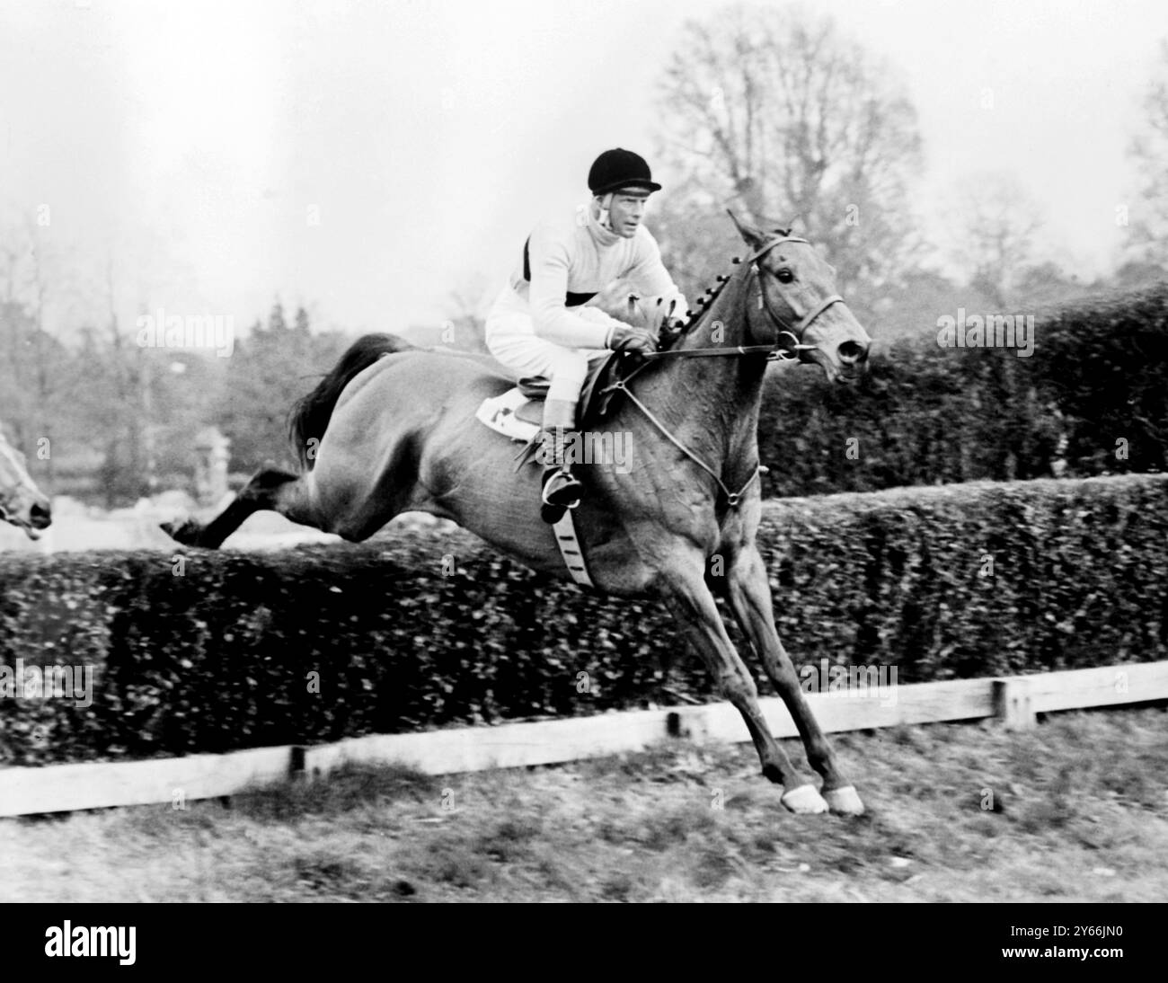 Five furlongs hi-res stock photography and images - Alamy