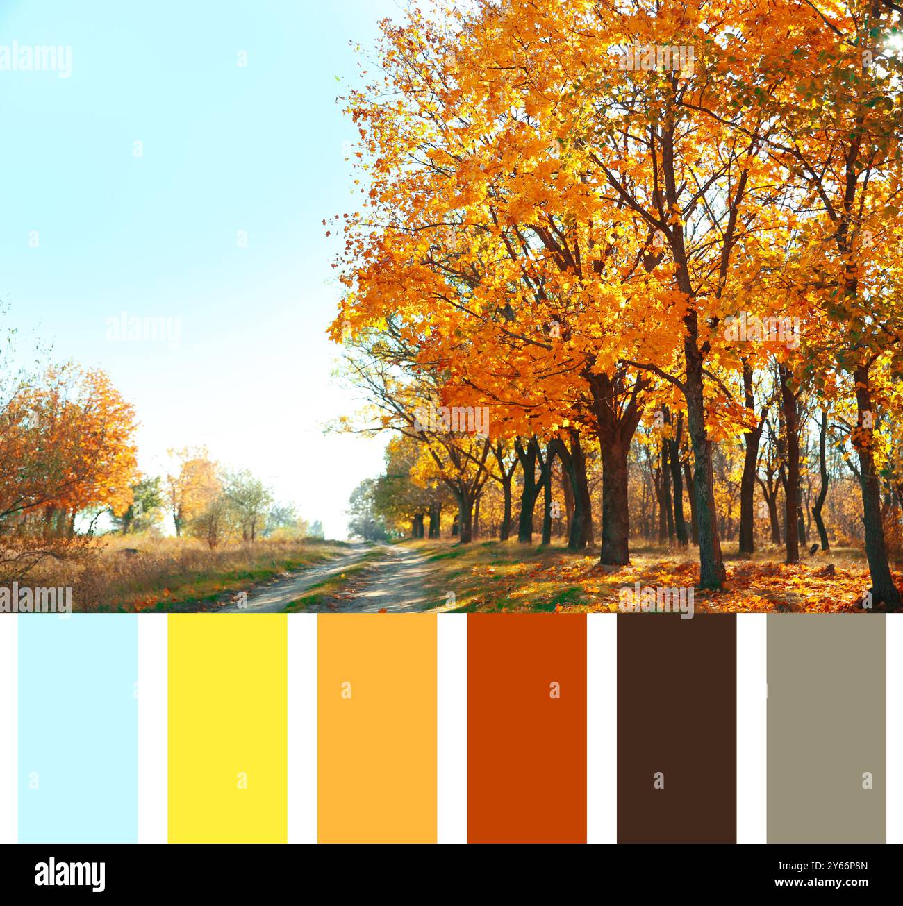 Fall colour palette hi-res stock photography and images - Alamy