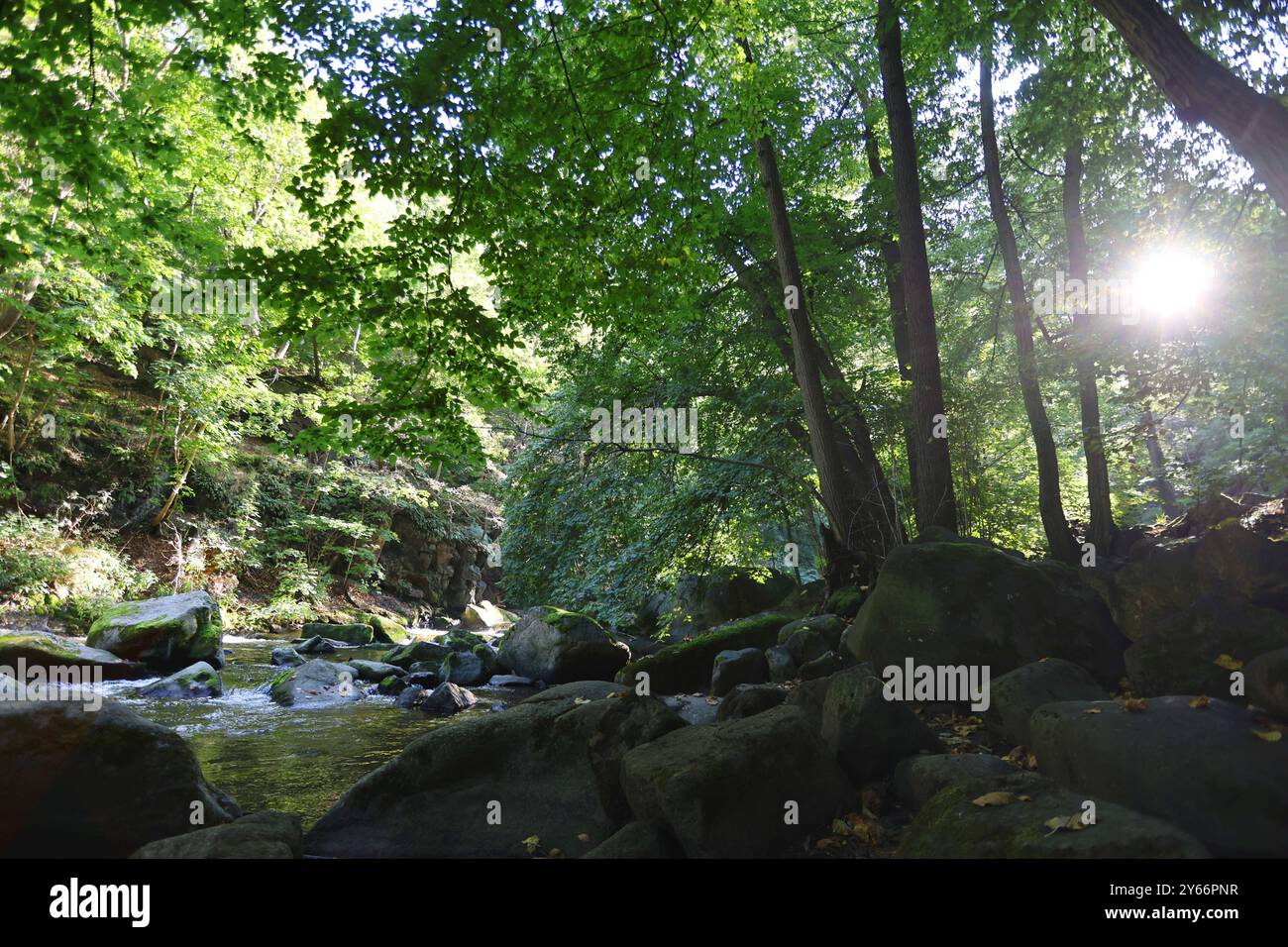 Thale 20.09.2024, Thale, Bodetal, grosse Steine liegen in der Bode, die ...