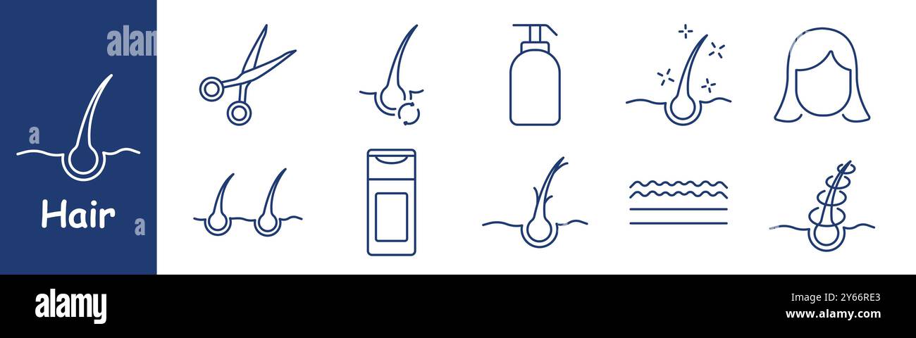 Hair set icon. Hair follicle, scissors, care products, scalp treatment ...