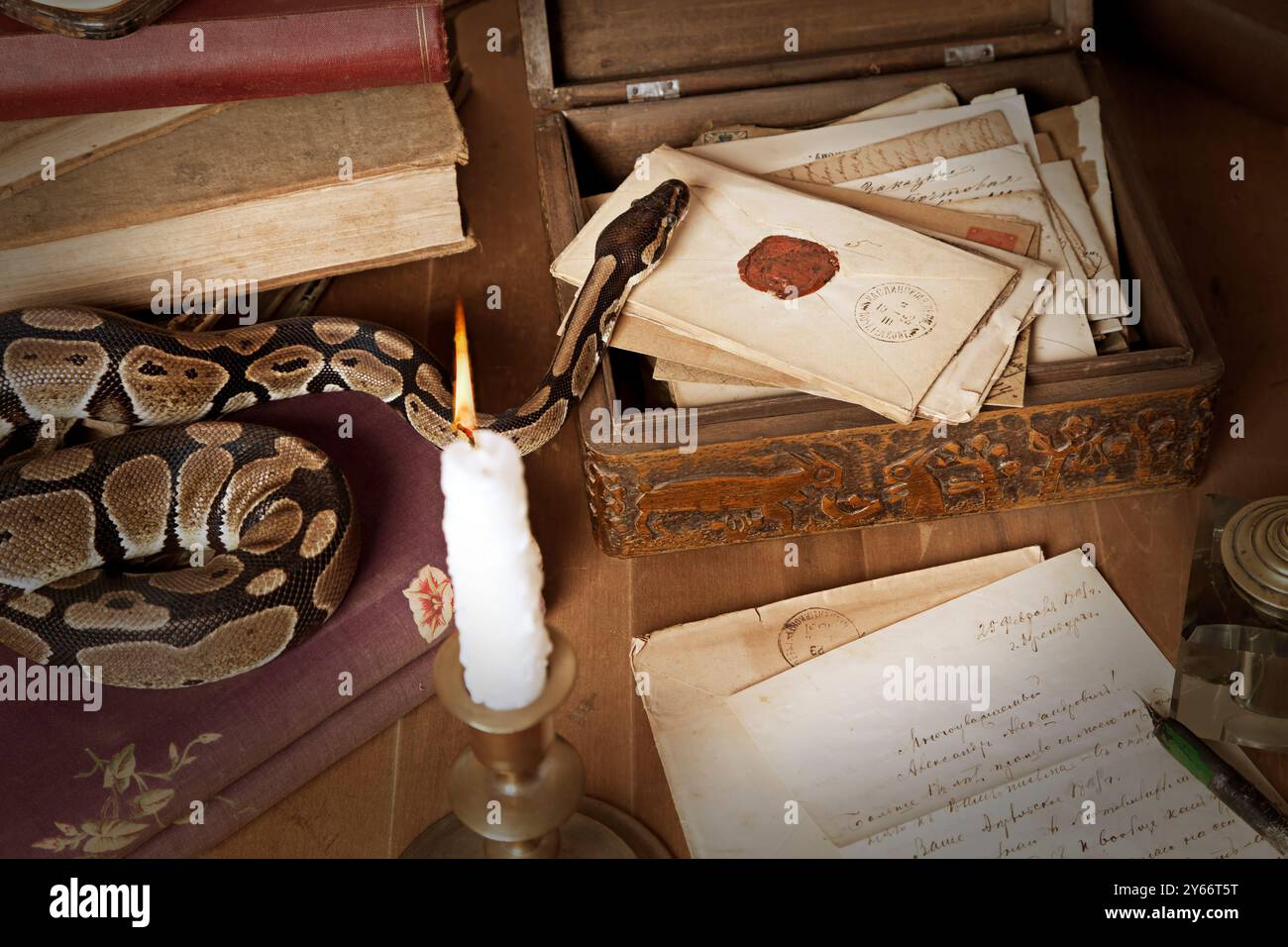 Python snake on vintage background with burning candle Stock Photo - Alamy