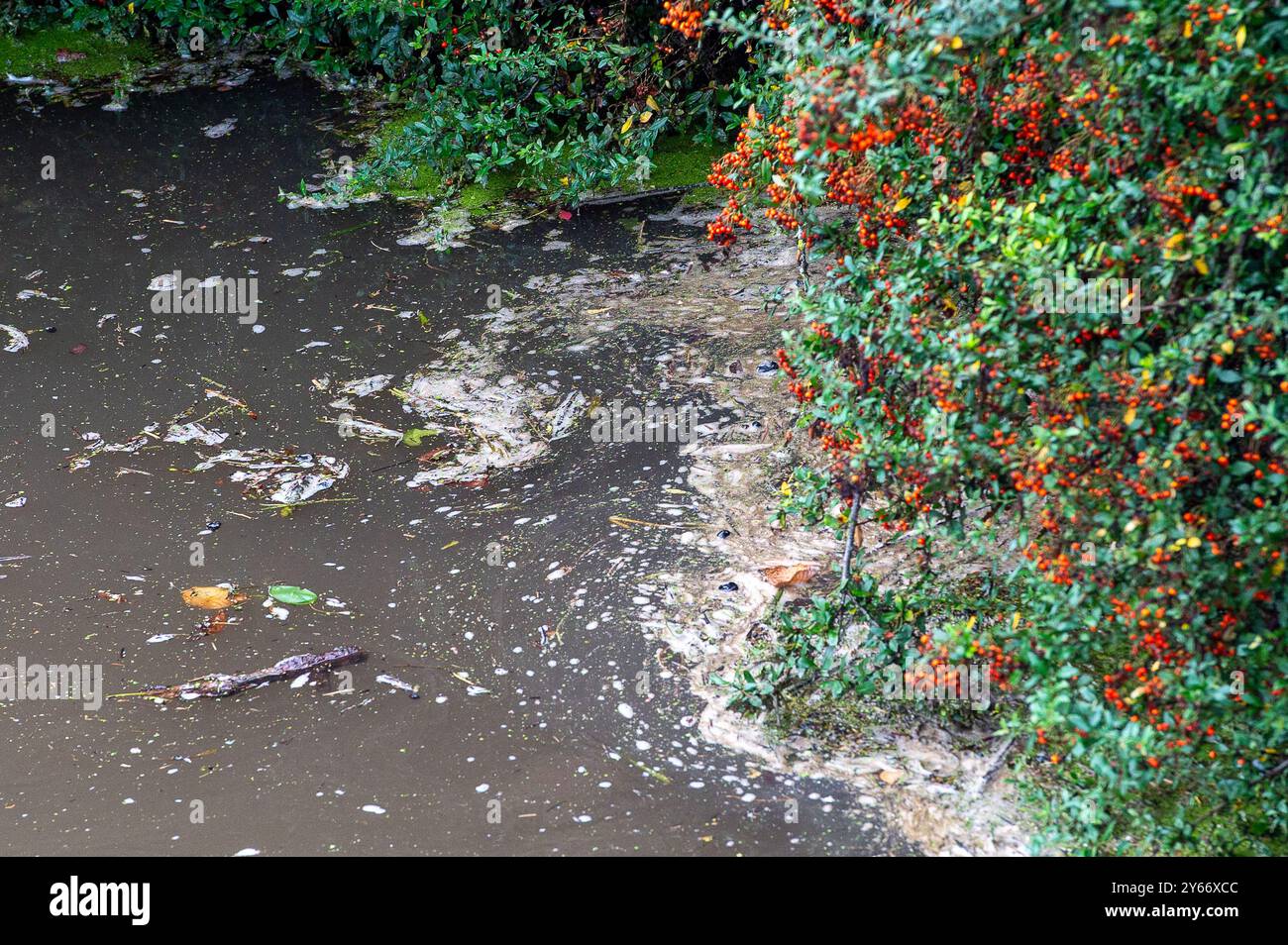 Pollution discharge into rivers uk hi-res stock photography and images ...