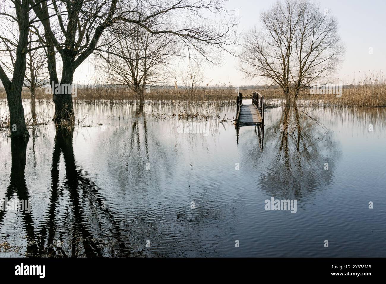 the river left the banks in early spring and flooded the pedestrian ...