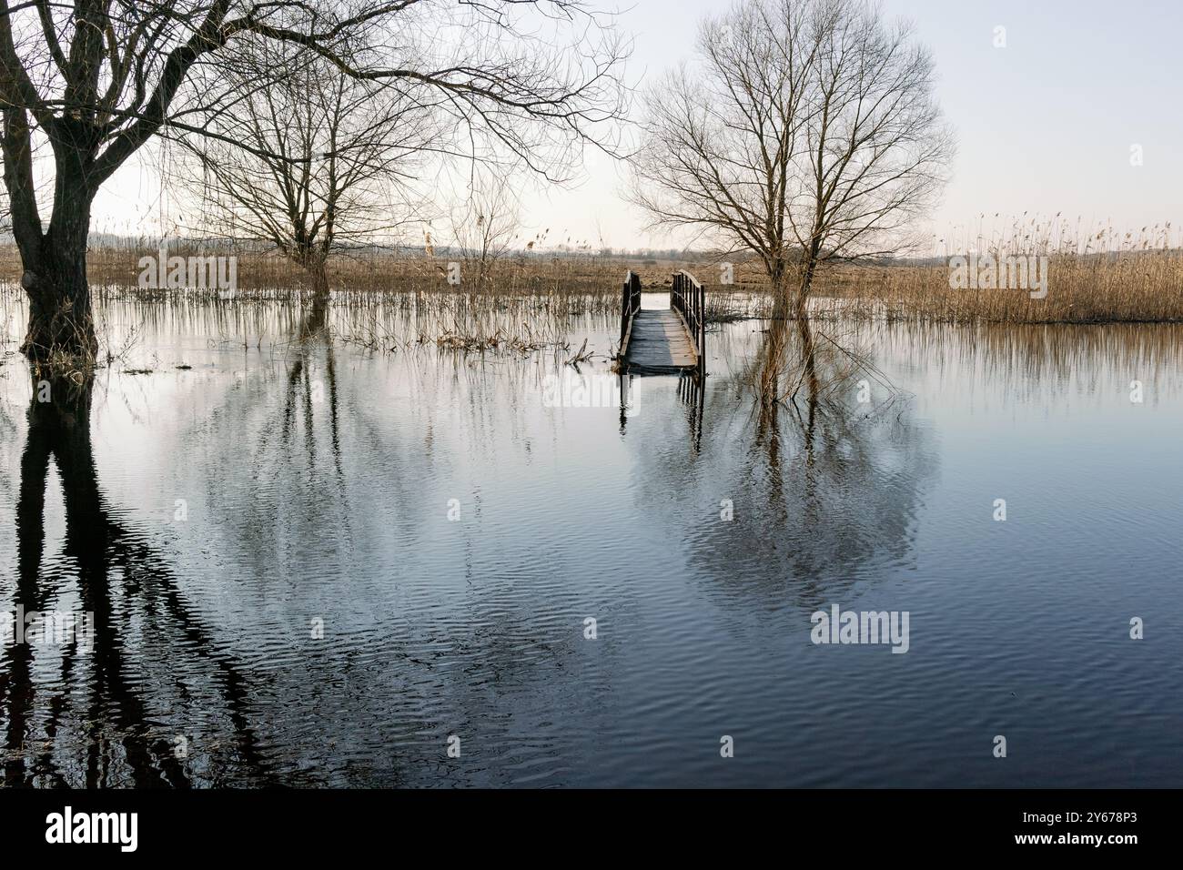 the river left the banks in early spring and flooded the pedestrian ...
