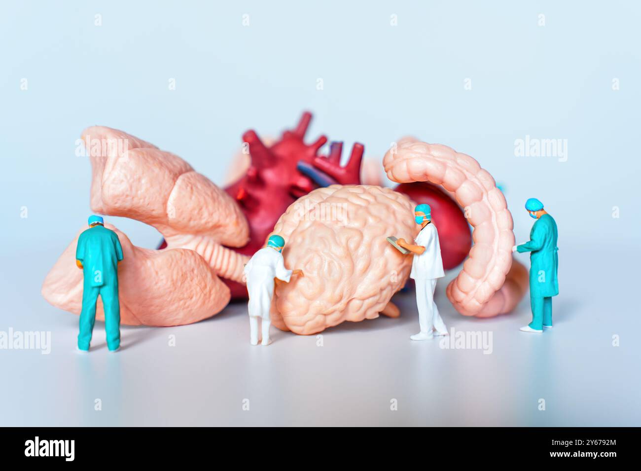 Miniature surgeons examining realistic human organ models, including ...