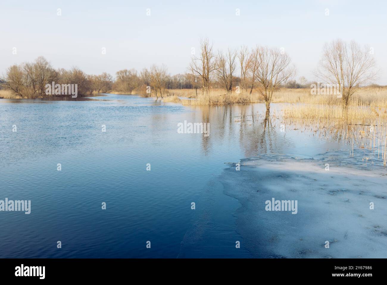 The spring ice is melting on the river. Spring flood, river with ice ...