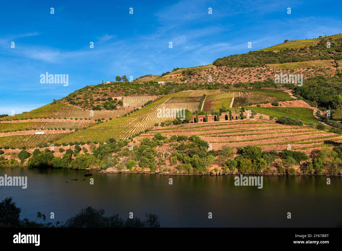 Vila Vehla vineyards, owned members of Symington family, seen across ...