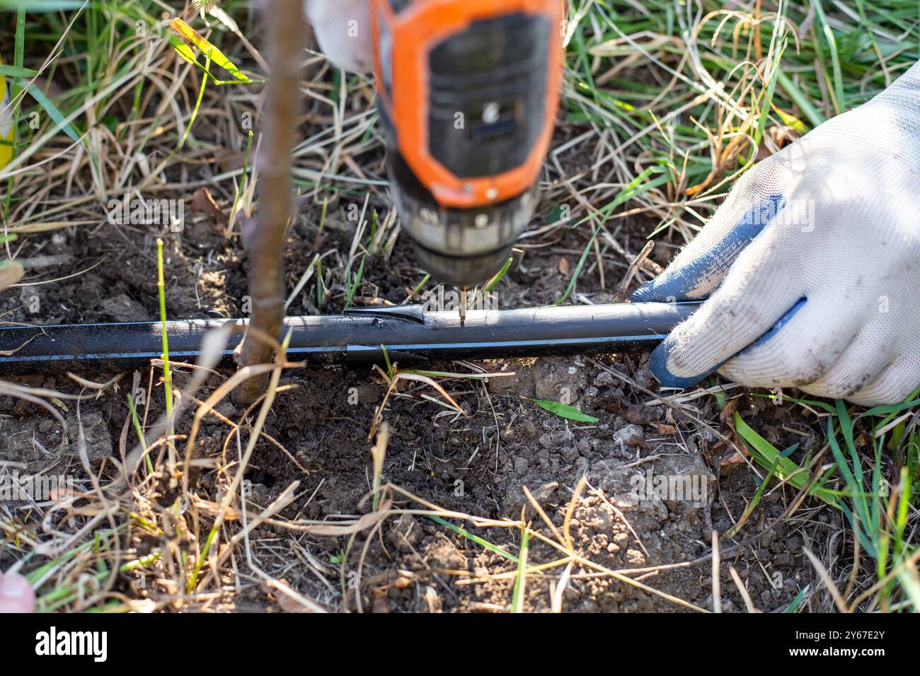Drip irrigation. Drilling a hole in a polypropylene pipe to install a ...
