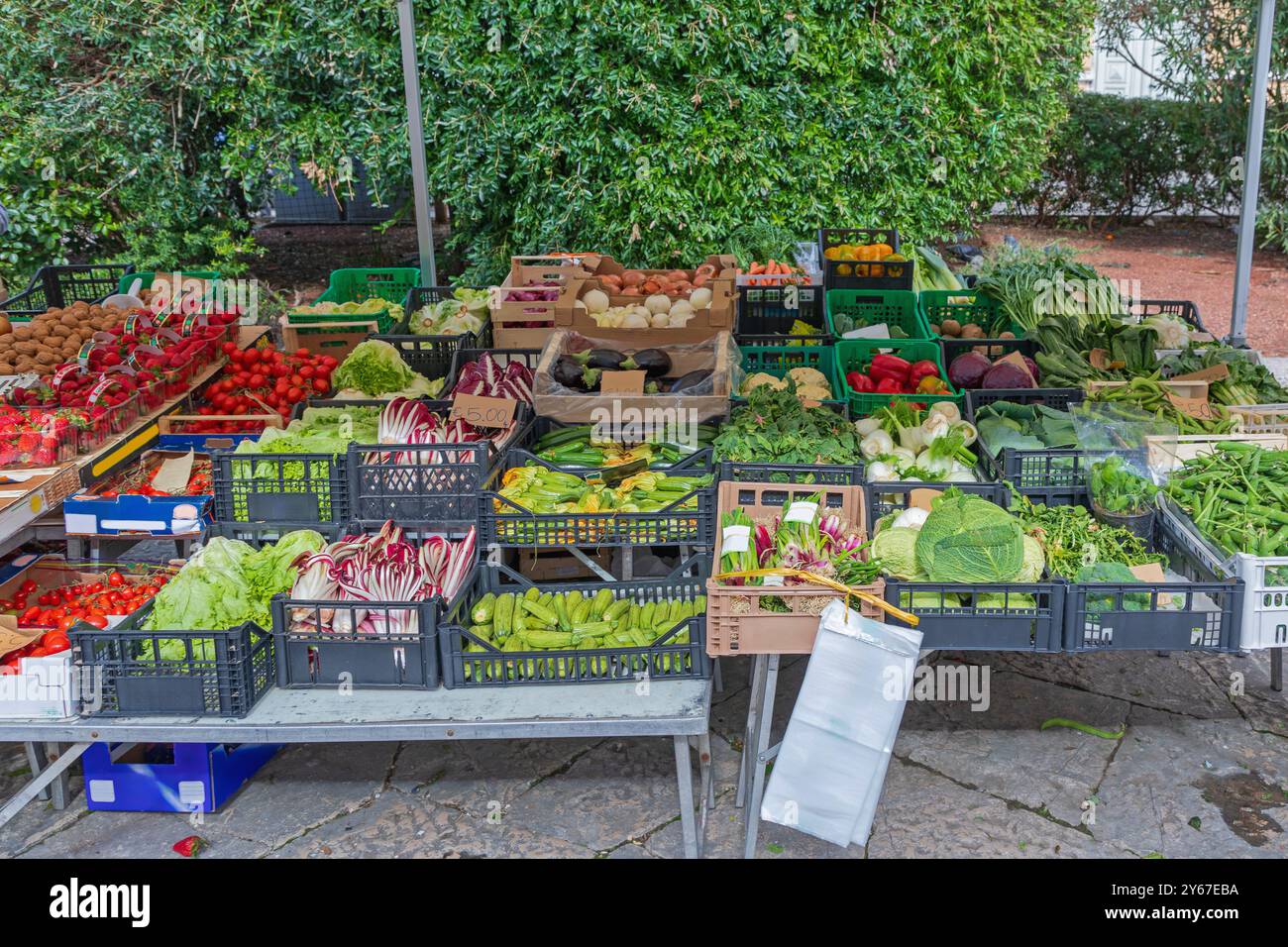Vegetable Produce Stall at Farmers Market in Trieste Italy Spring Day ...