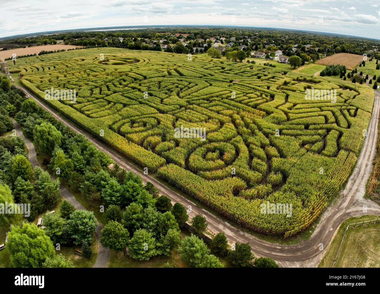 Corn Maze at the Richardson Adventure Farm in Spring Grove, Illinois ...
