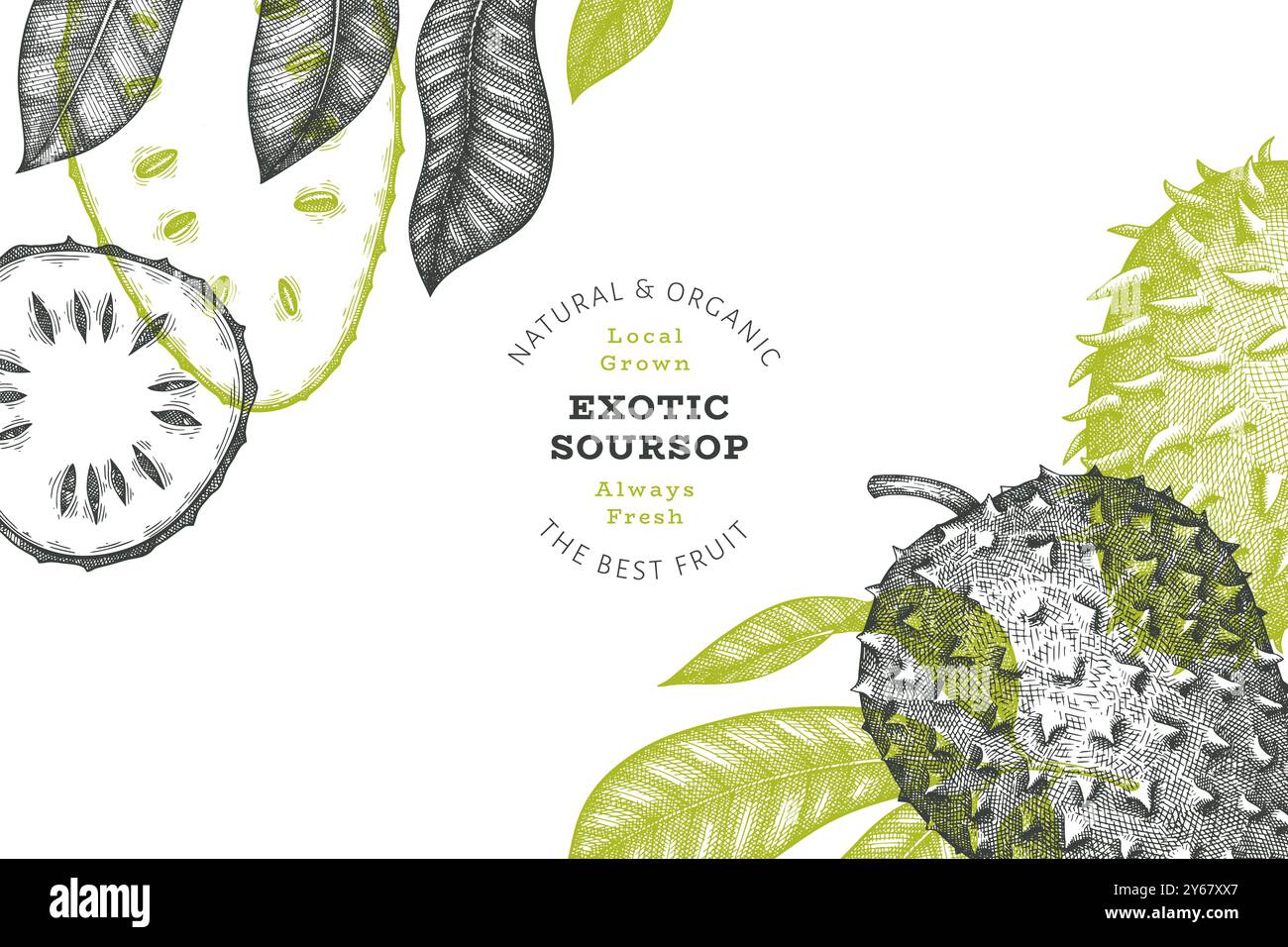 Hand drawn sketch style soursop fruit banner. Organic fresh fruit ...