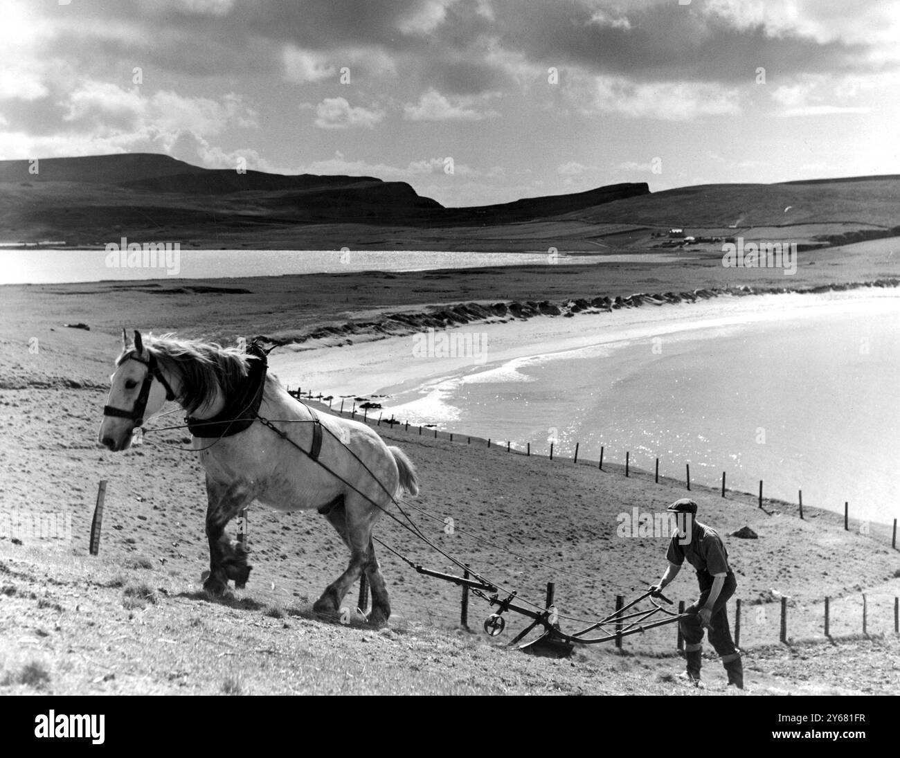 William M Henderson, who farms a croft with his father at Coubal ...