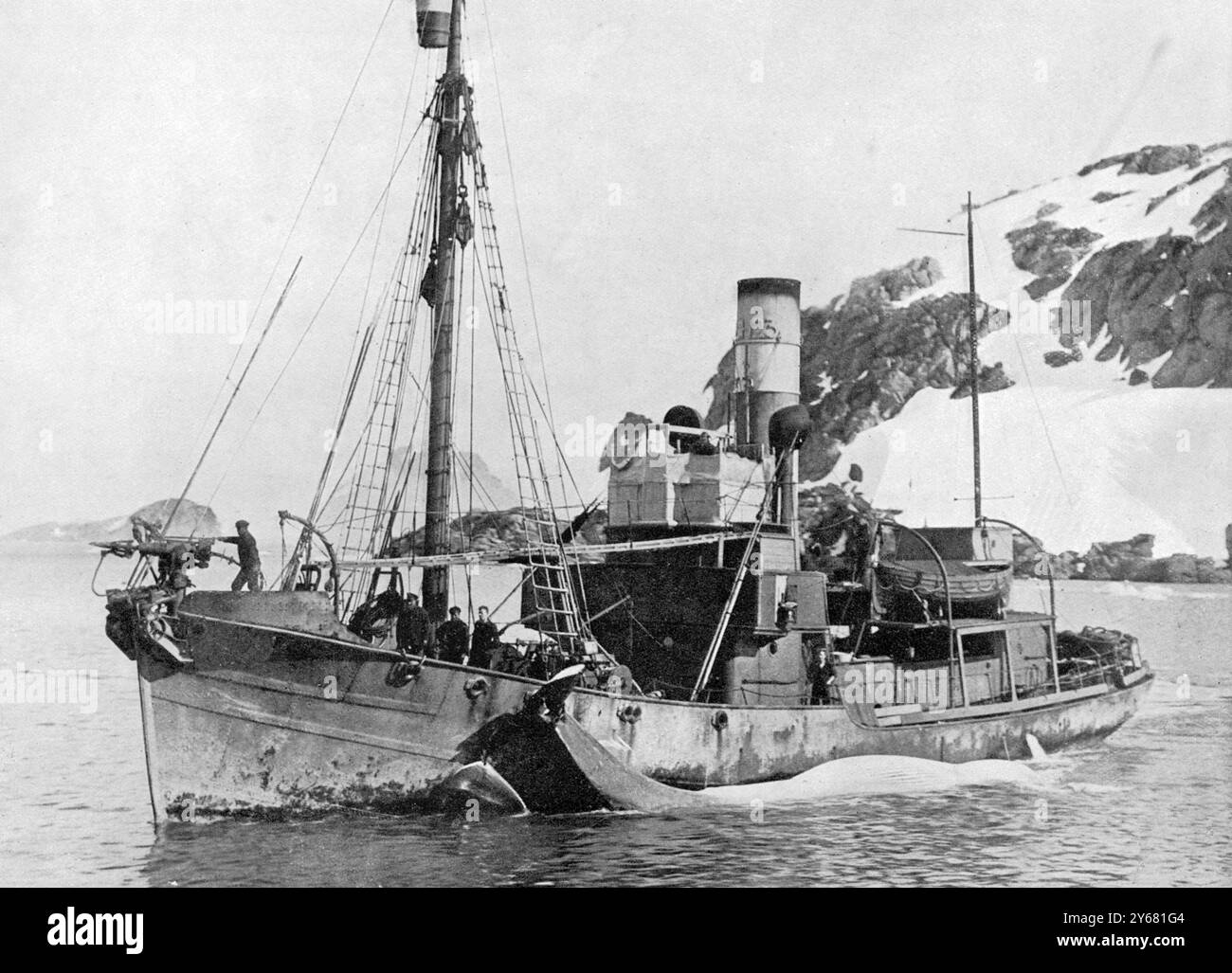 Whale boat with a fin-whale catch in the Arctic 10th September 1927 ...