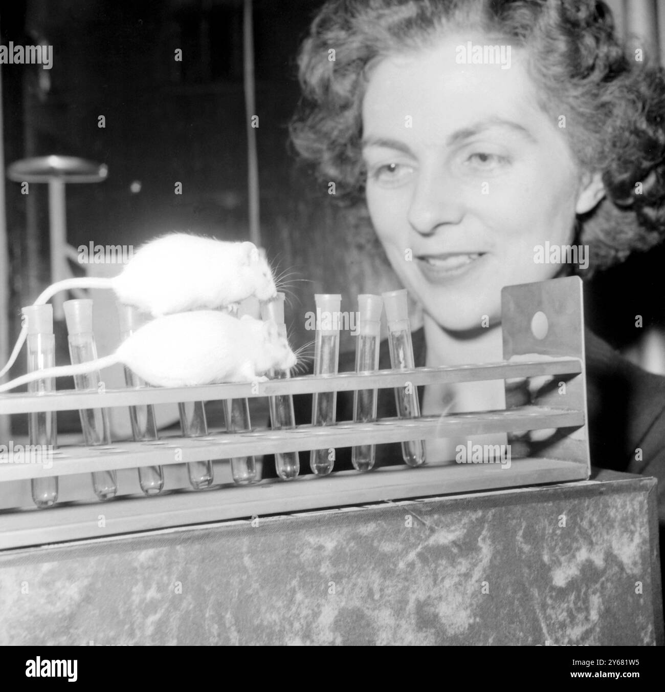 Mice experiments Black and White Stock Photos & Images - Alamy