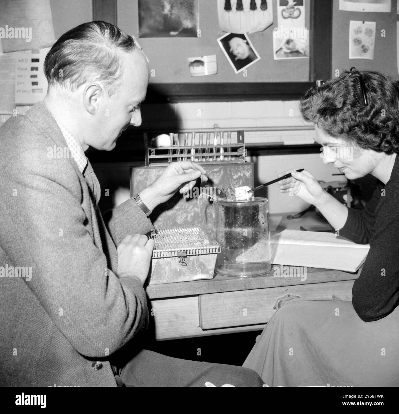 London: Dr J D Biggers and Dr Anne McIaren inspecting one of the white ...