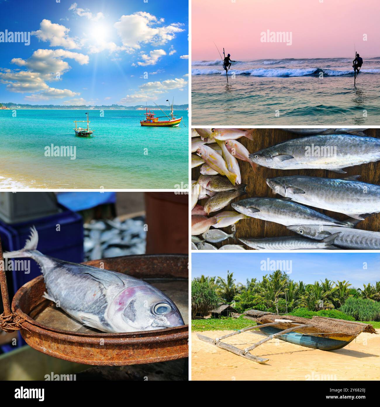 Traditional fishing in the Indian Ocean. Collage Stock Photo - Alamy