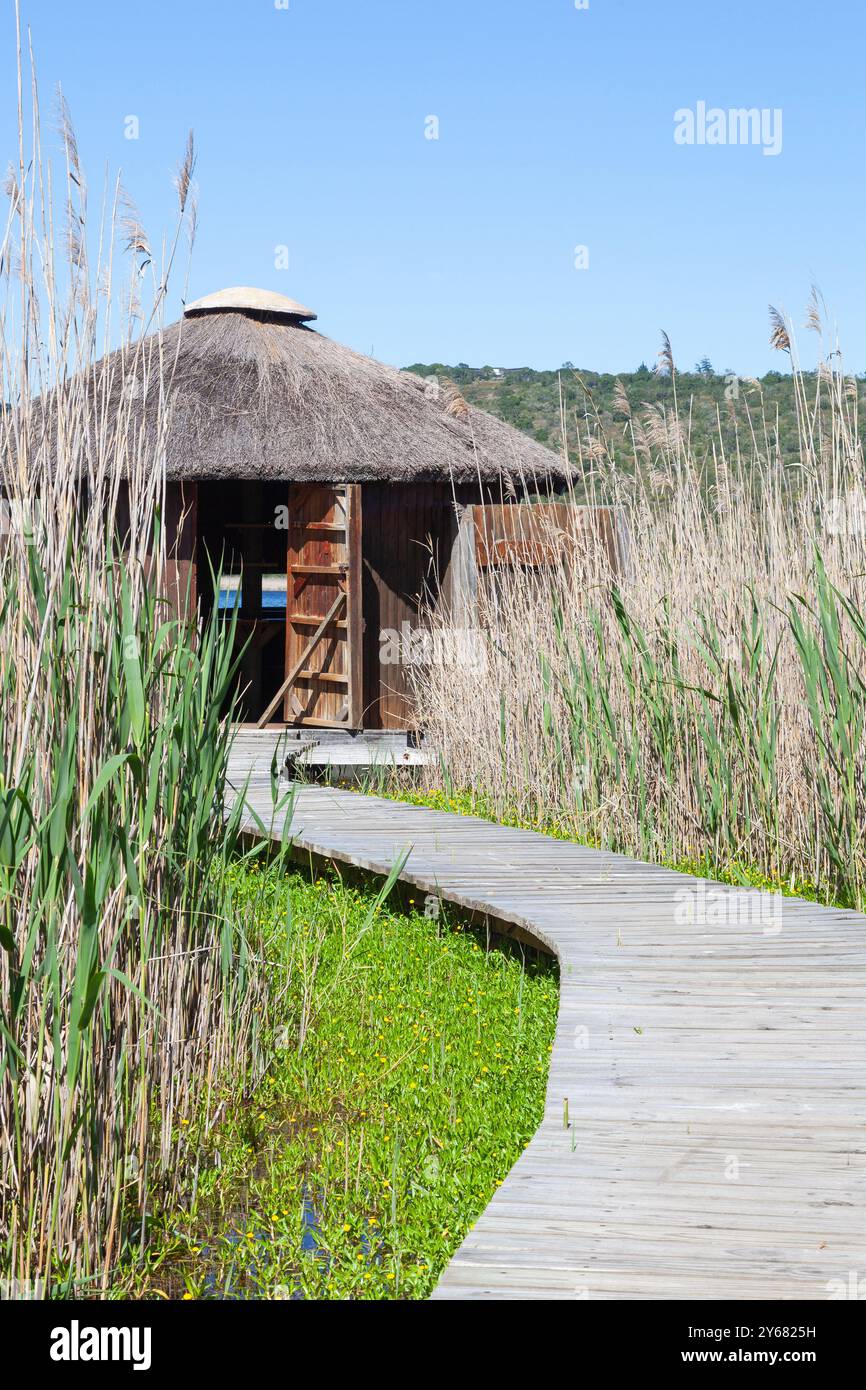 Boardwalk at the Malachite Bird Hide on Langvlei Lake, Wilderness ...